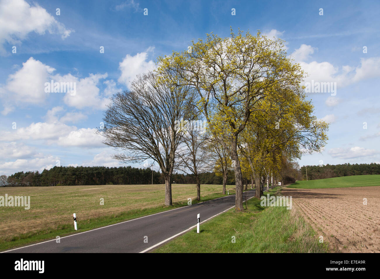 Landkreis uckermark hi-res stock photography and images - Alamy