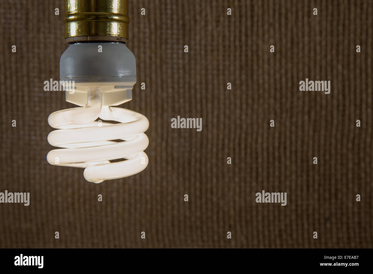 Close-up of a single white CFL (compact fluorescent lamp) light bulb in ...