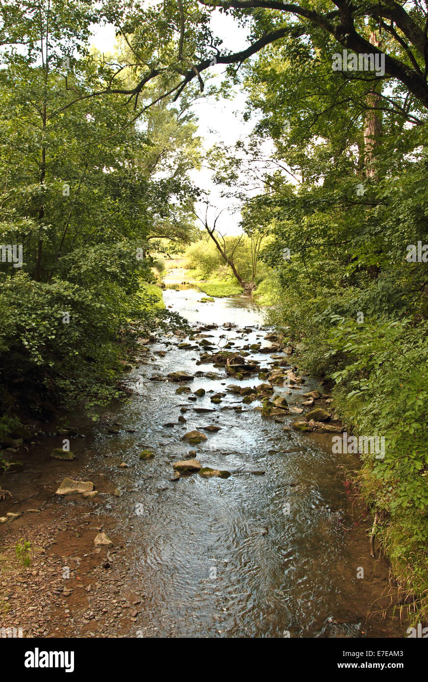 Woodland creek hi-res stock photography and images - Alamy