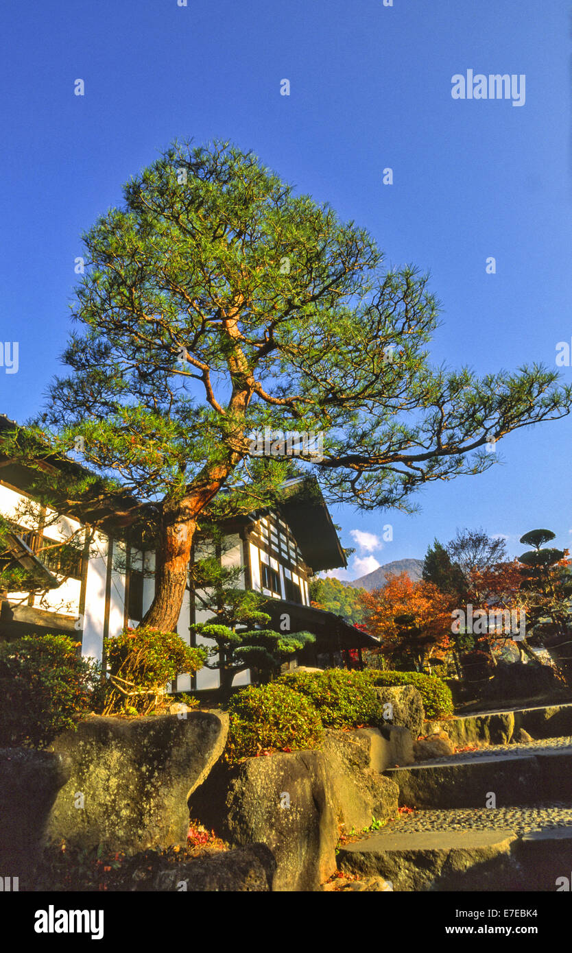 Traditional japanese house and garden hi-res stock photography and ...