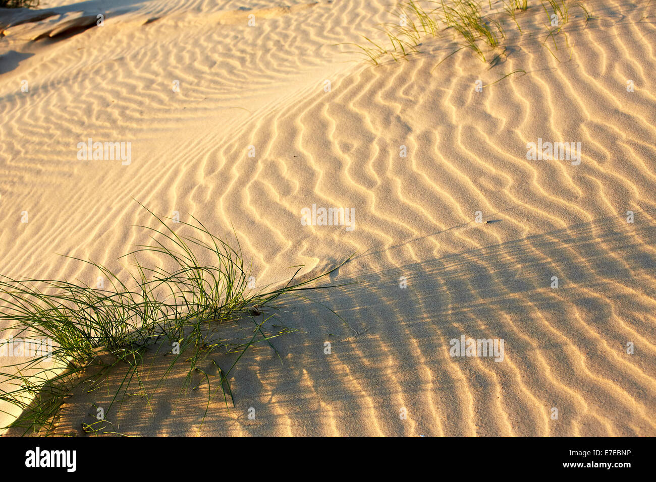 Contour lines on a sandy beach Stock Photo - Alamy