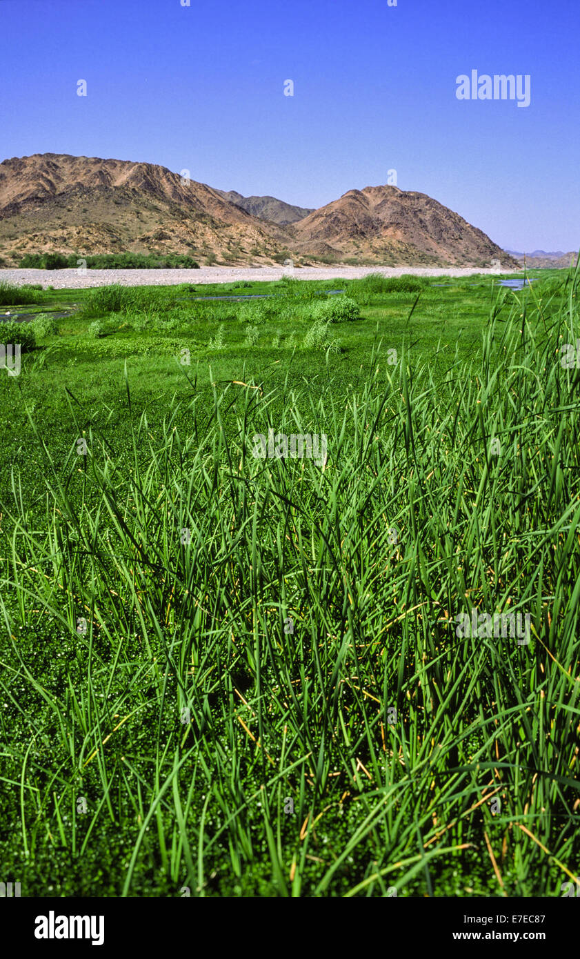 Saudi arabia hot hi-res stock photography and images - Alamy