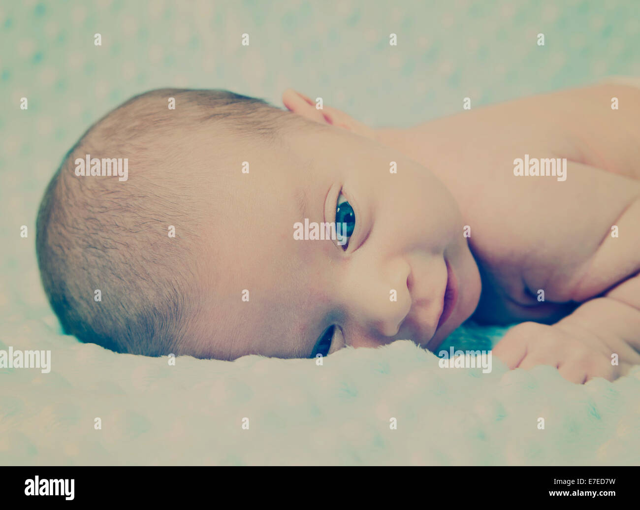 Newborn portrait of a 2 week old baby boy with blue eyes Stock Photo ...
