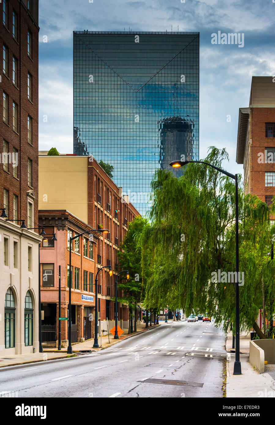 Weeping willow tree and buildings on a street in downtown Atlanta ...