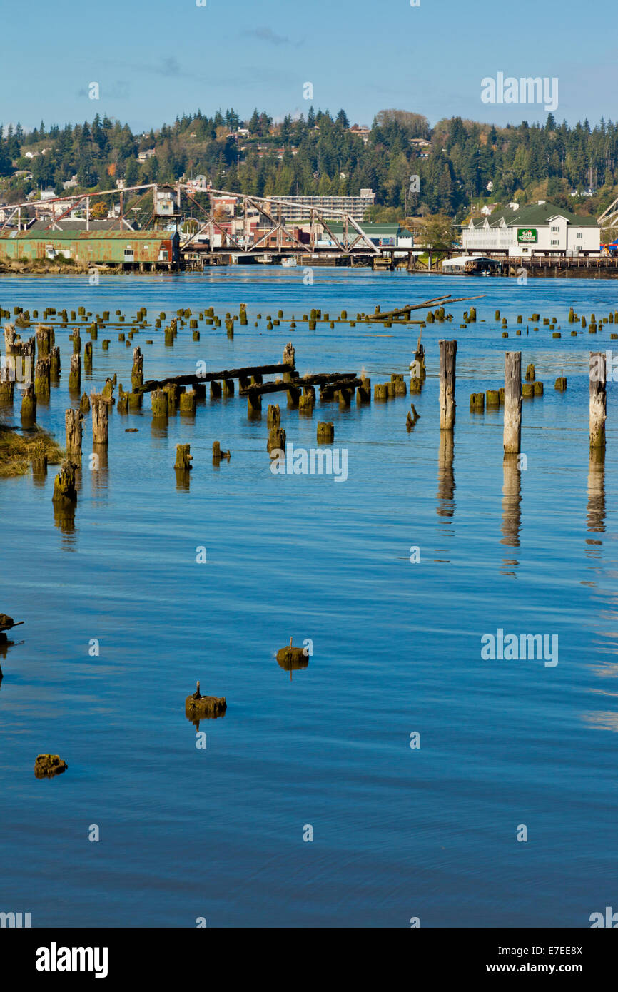 Chehalis river, washington hi-res stock photography and images - Alamy