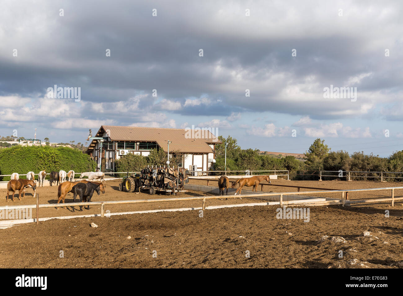 Ranch corral hi-res stock photography and images - Alamy