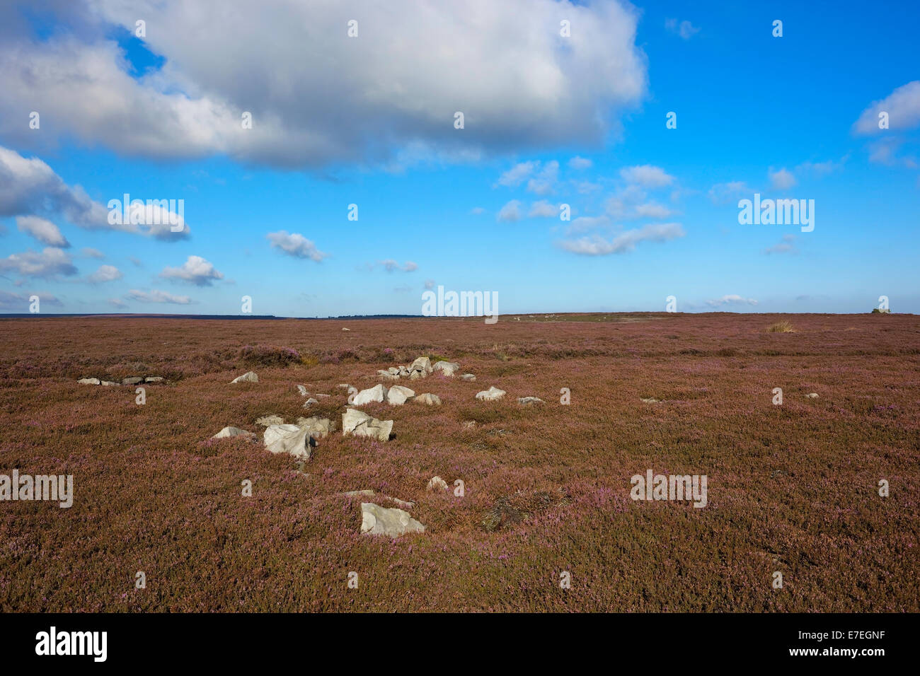 North yorkshire heather rock hi-res stock photography and images - Alamy