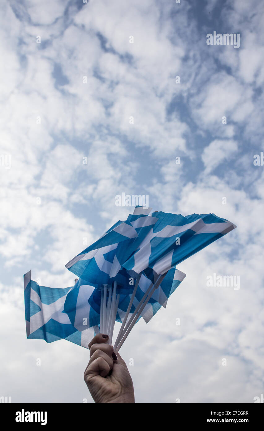 Arm waving Scottish flags Stock Photo - Alamy