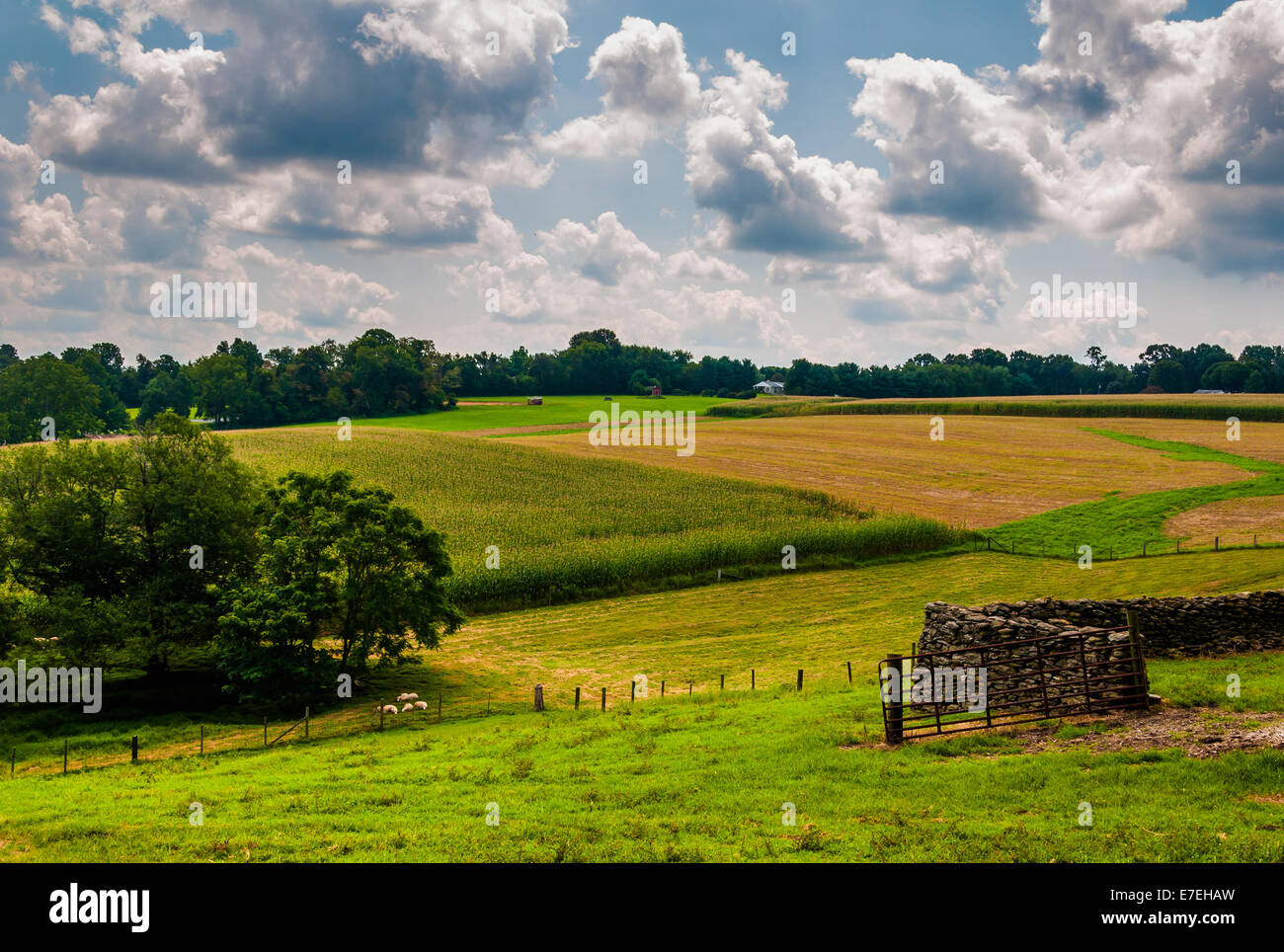 High view farm hi-res stock photography and images - Alamy