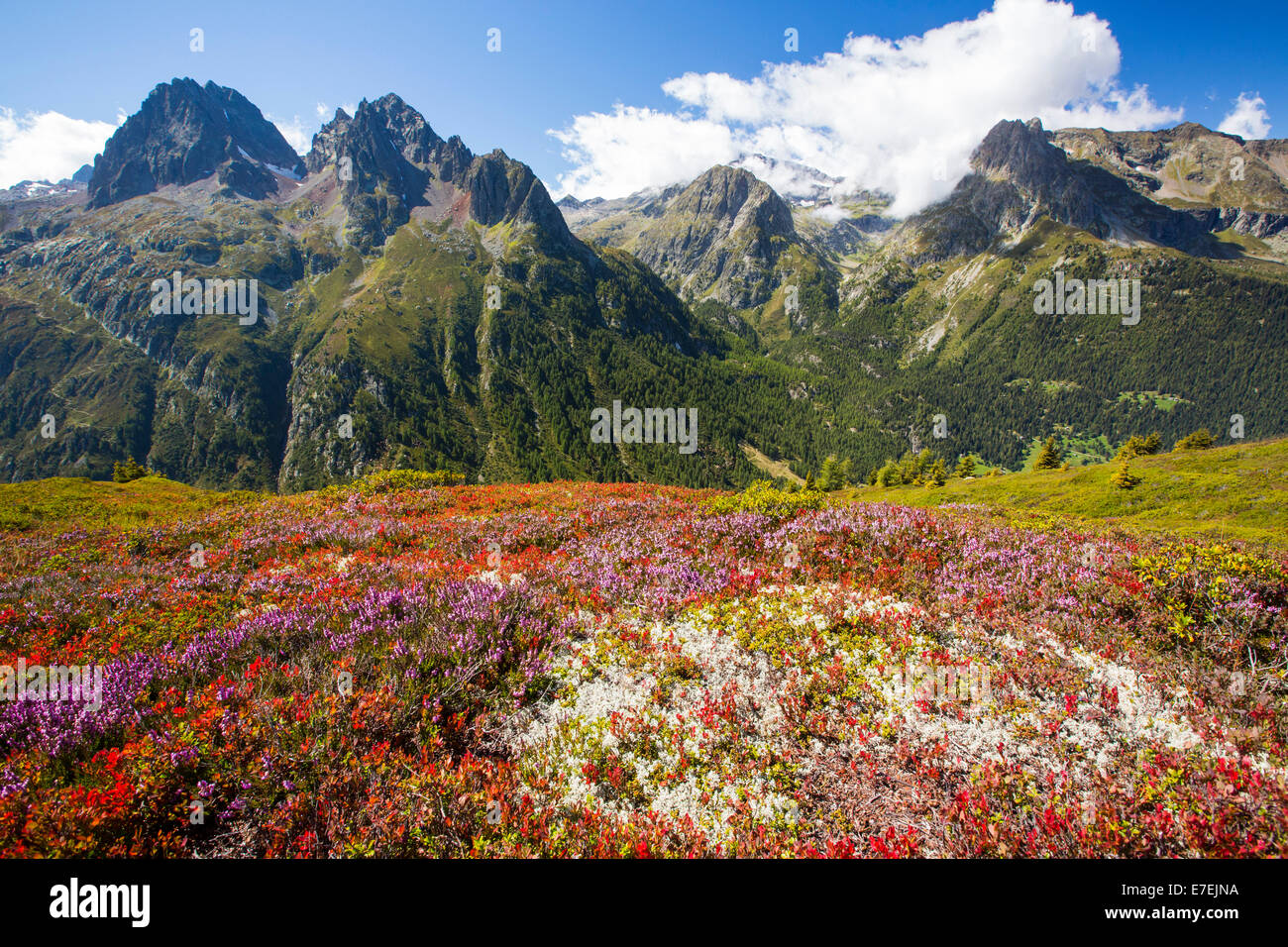 The Aiguille Rouge range from the Aiguillette des Posettes with ...