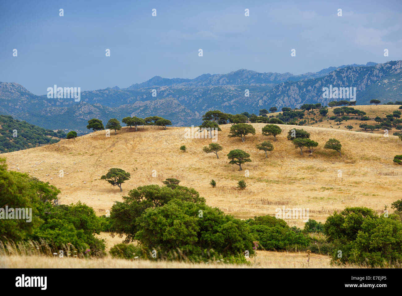 Peaceful rural landscape of Sardinia Stock Photo - Alamy