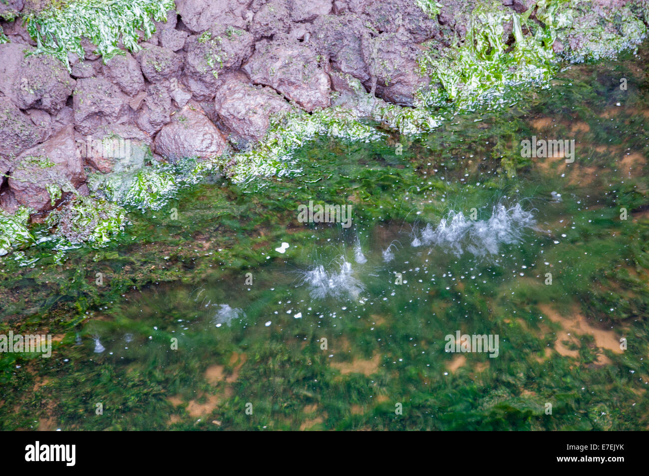 Small waterfall falling water lake Stock Photo - Alamy