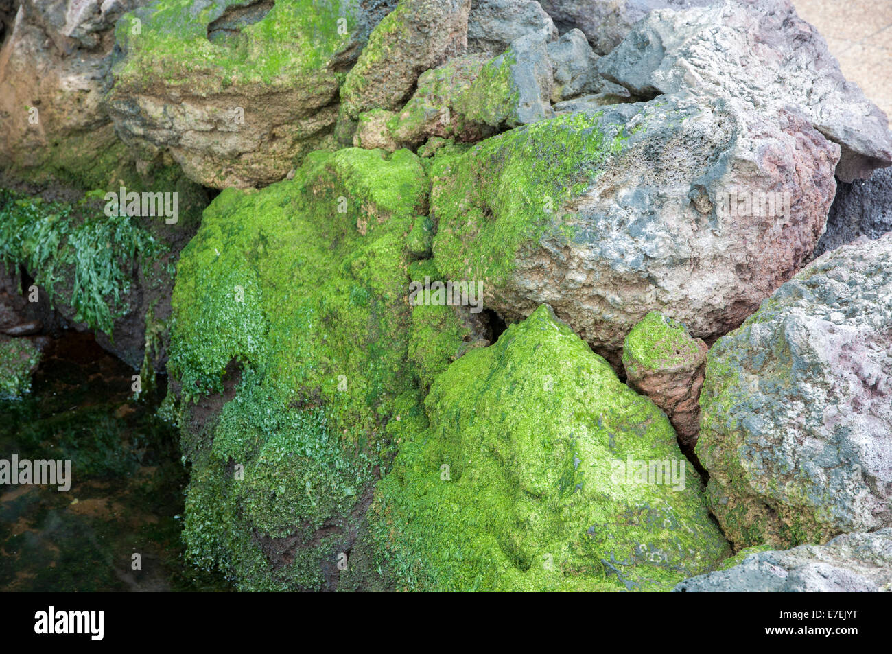 Water seeping hi-res stock photography and images - Alamy