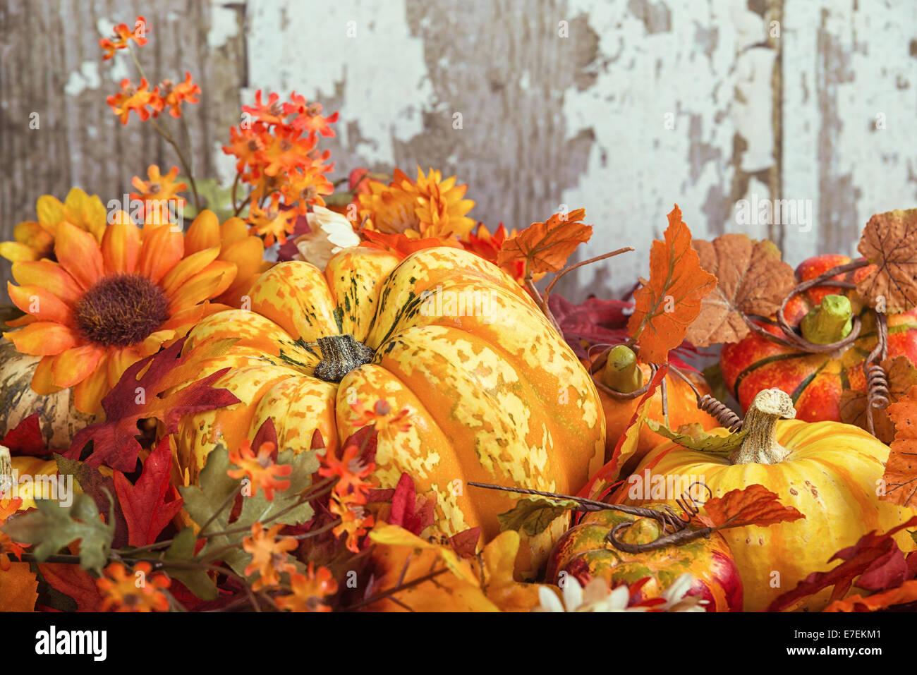 Colorful autumn display with a squash fruit surrounded by decorative ...