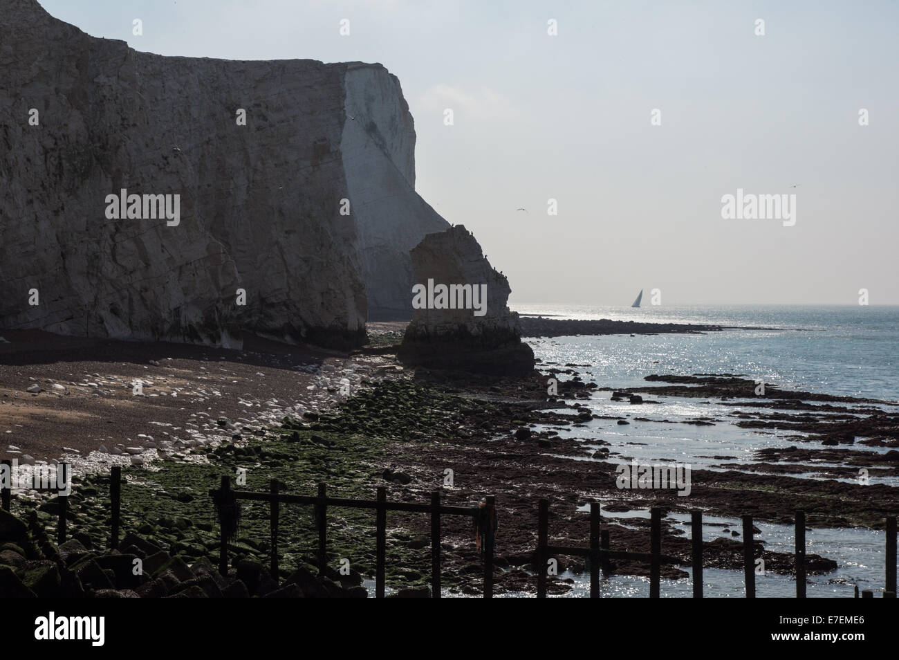 Seaford Bay High Resolution Stock Photography and Images - Alamy
