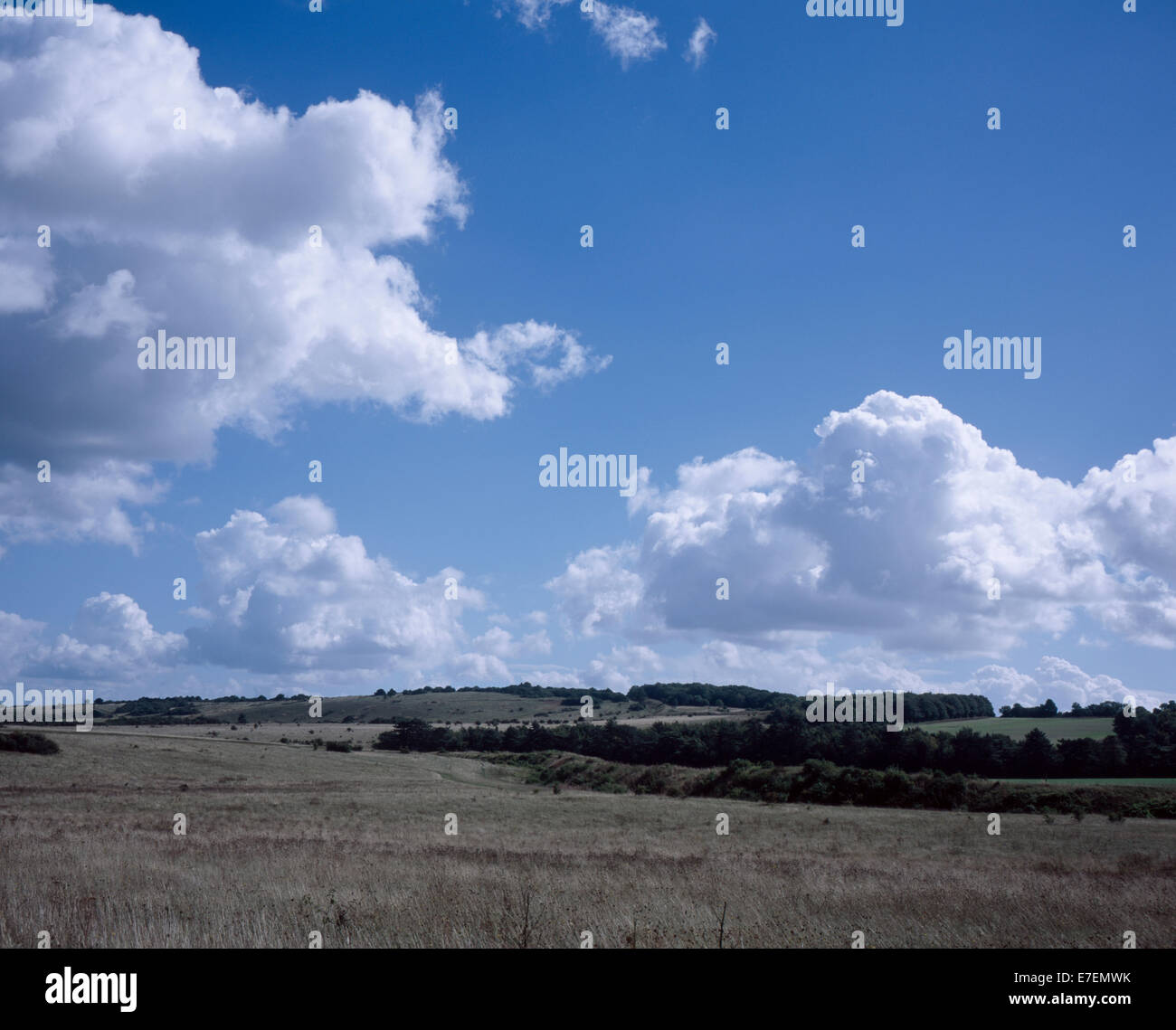 A view across Martin Down part of a National Nature Reserve The Dorset ...