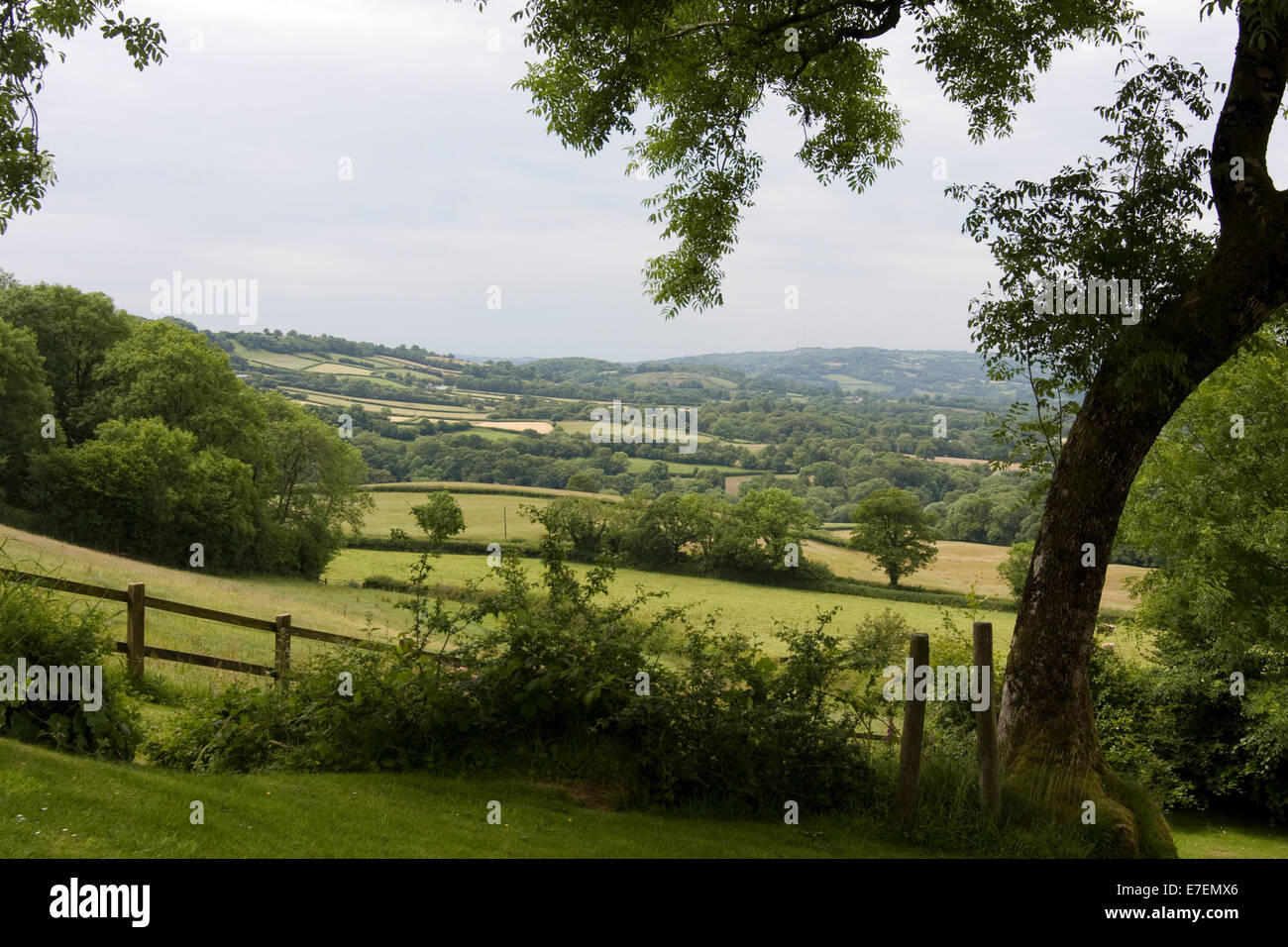 Welsh landscape with meadows and hedges Stock Photo - Alamy