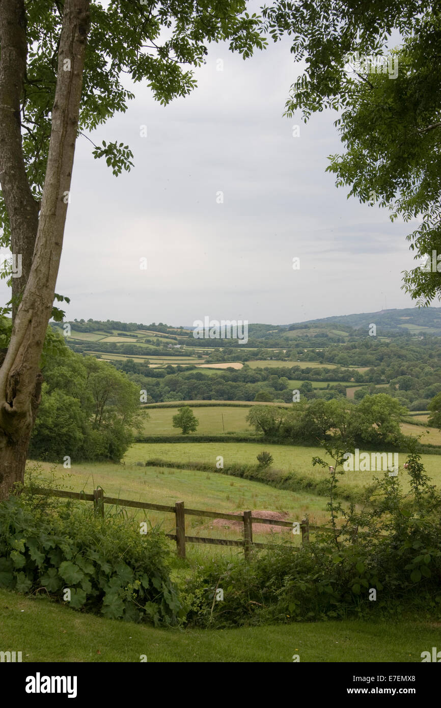 Welsh landscape with meadows and hedges Stock Photo - Alamy