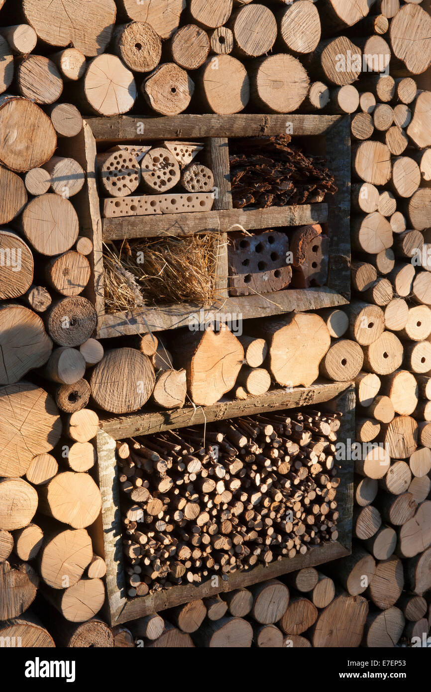 Garden - Green is the Colour - view of log wall and insect bug houses ...