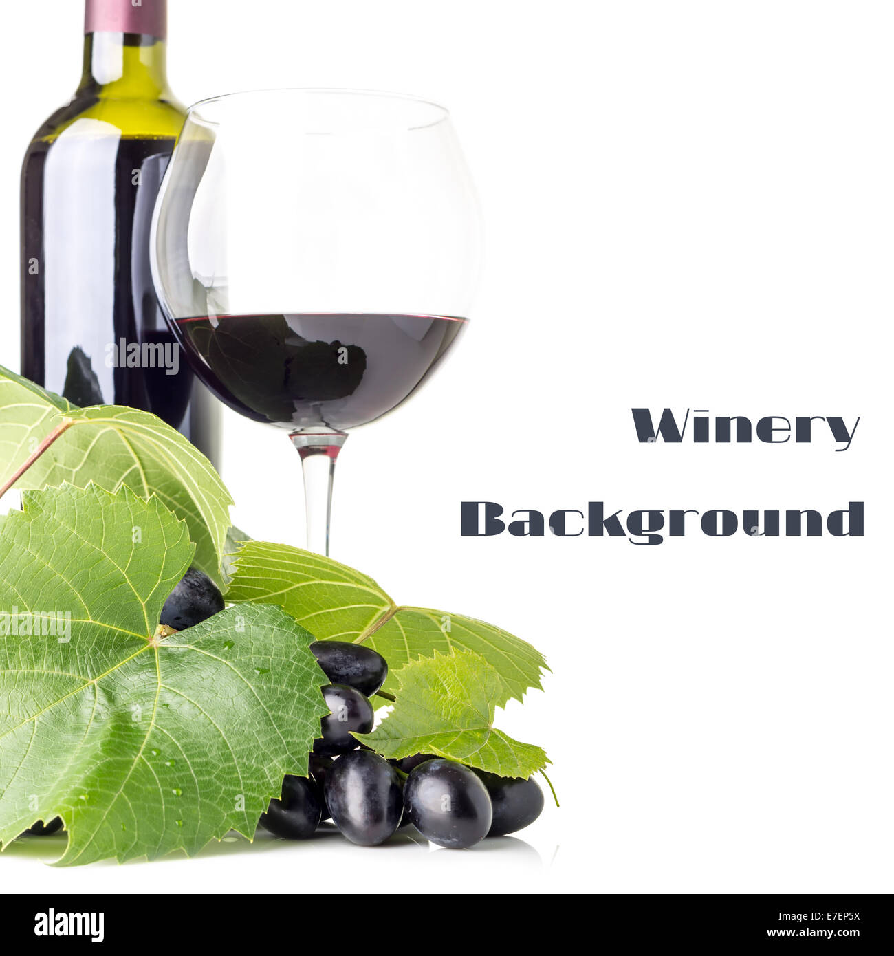 Winery background. Red wine with fresh ripe grapes and green vine ...
