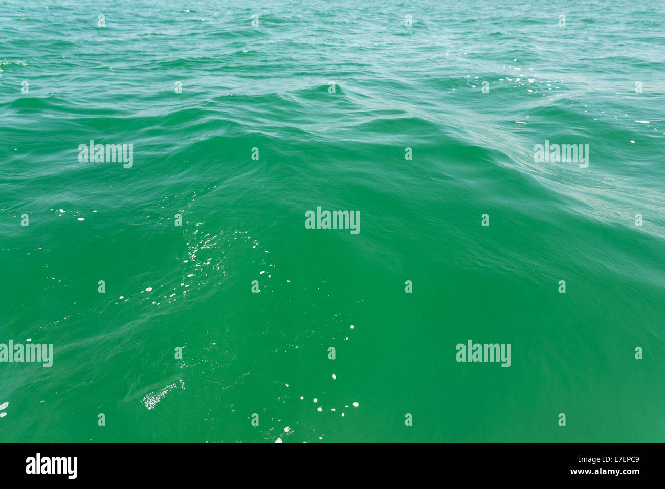 Ocean green background hi-res stock photography and images - Alamy