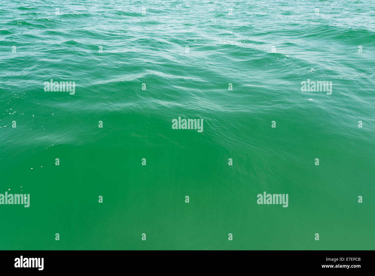 Ocean green background hi-res stock photography and images - Alamy