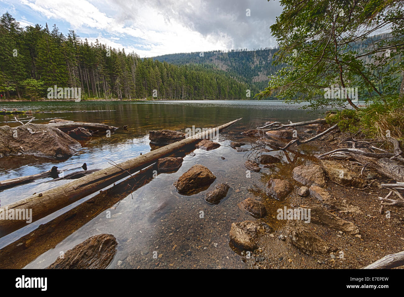 Glacial Black Lake surrounded by the forest in South Bohemia Stock ...
