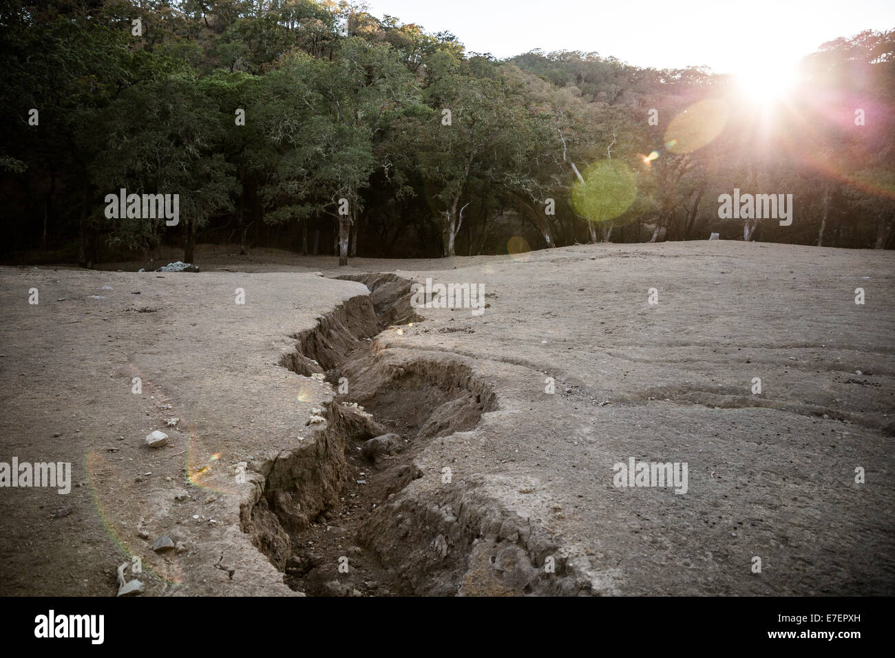 Dried out stream with sun lens flare Stock Photo - Alamy