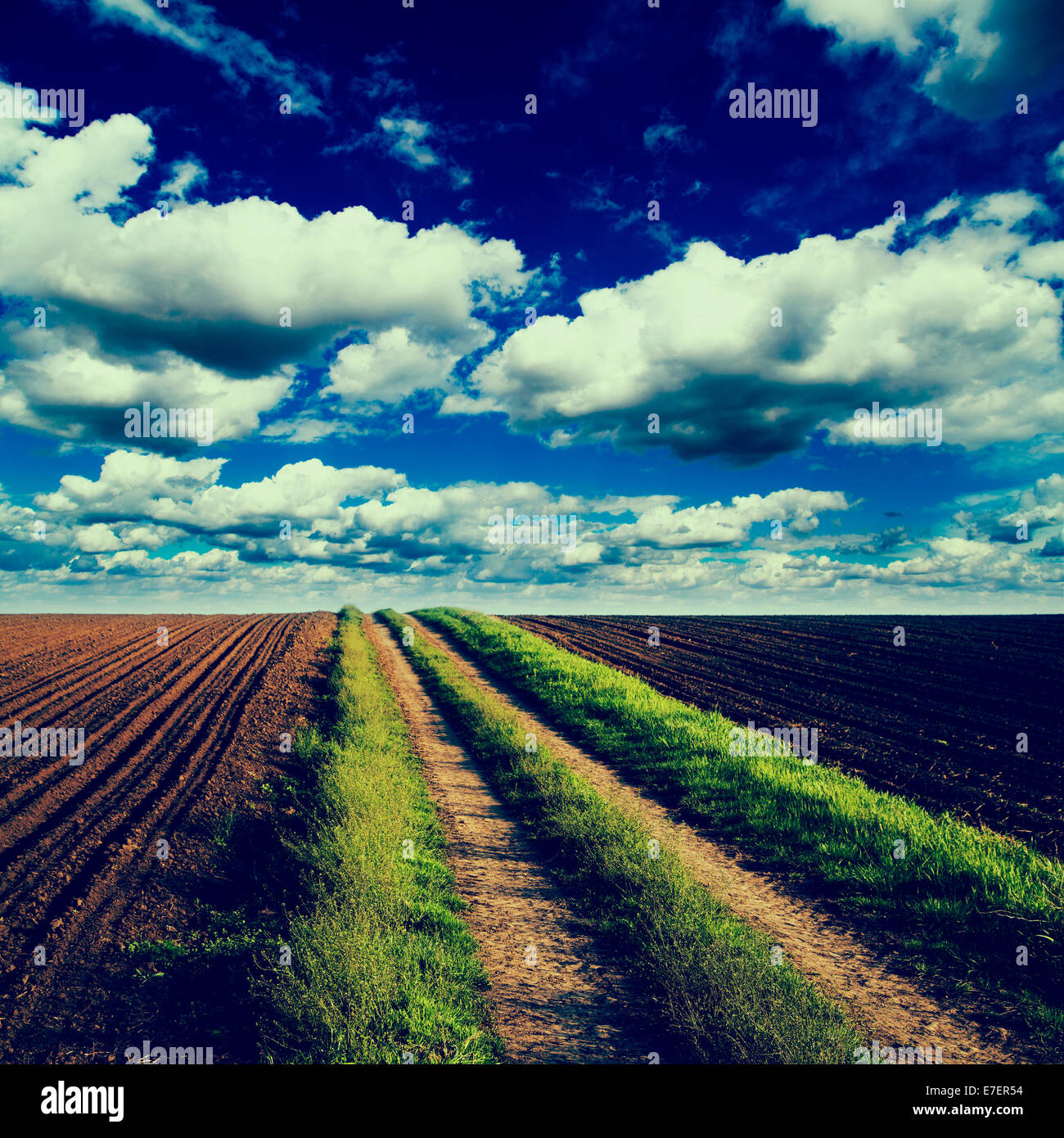 Agriculture and arable land hi-res stock photography and images - Alamy