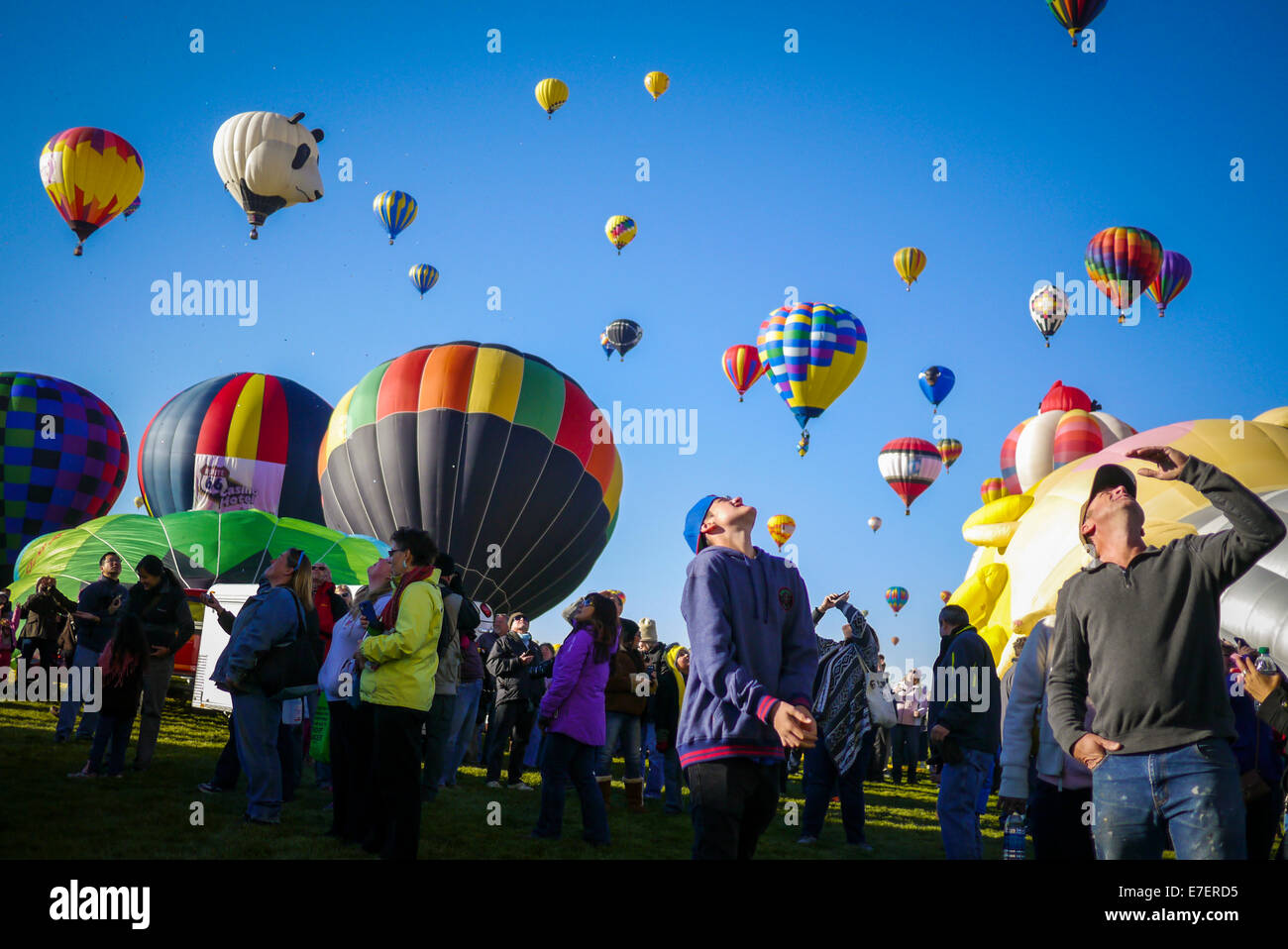 Albuquerque International Balloon Fiesta Stock Photos & Albuquerque ...