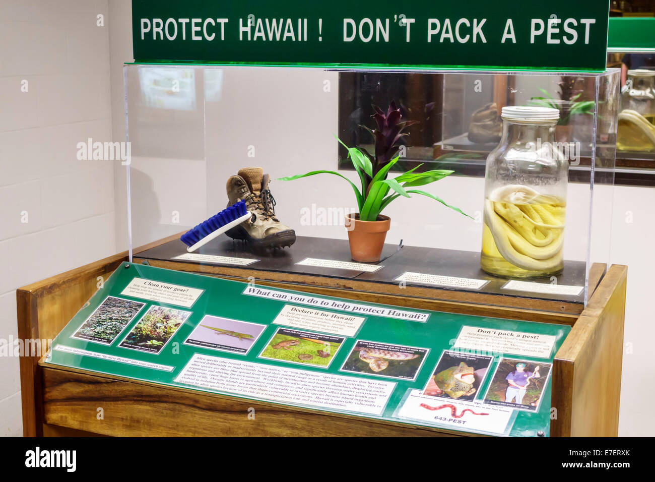 Hawaii,Hawaiian,Oahu,Honolulu,Honolulu International Airport,HNL ...