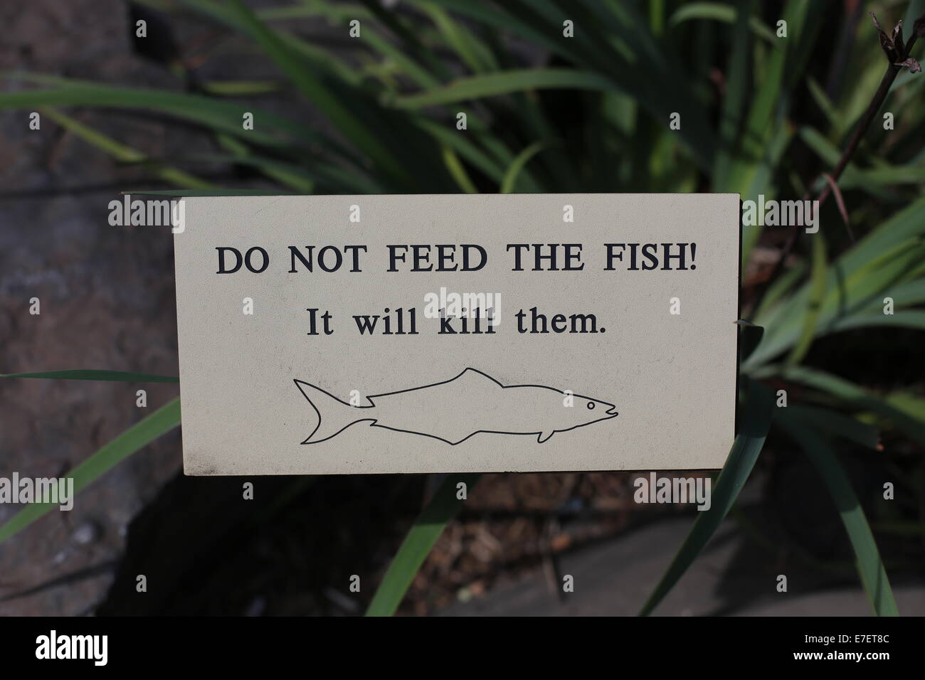 A sign that reads "Do not feed the fish! It will kill them Stock Photo ...