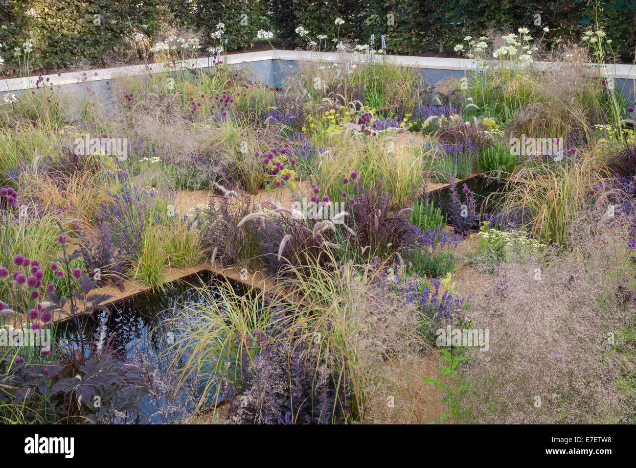 Grasses gravel garden hi-res stock photography and images - Alamy
