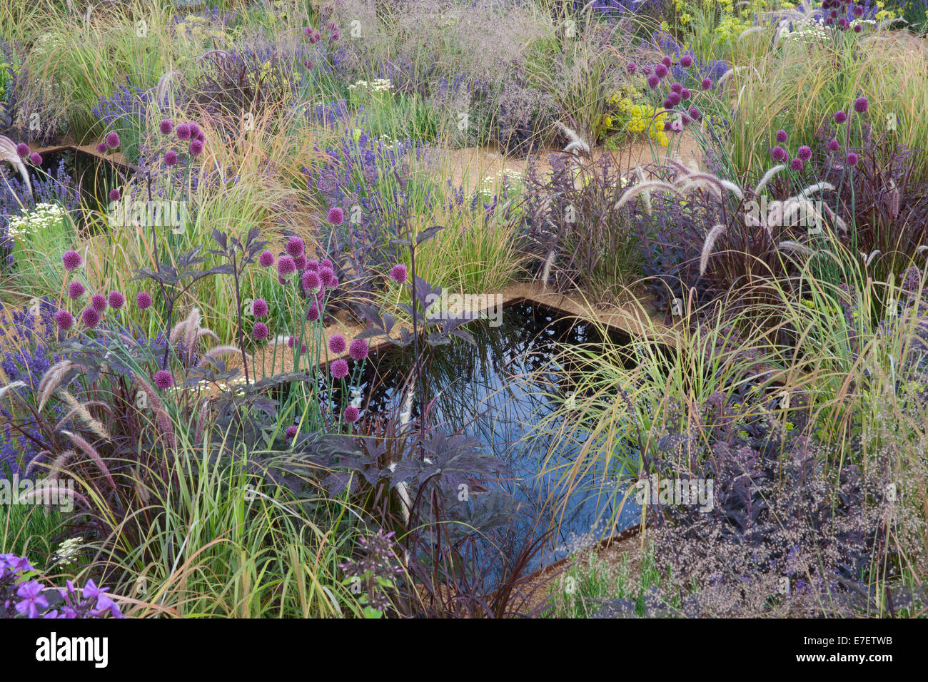 Mixed Grasses Border High Resolution Stock Photography and Images - Alamy