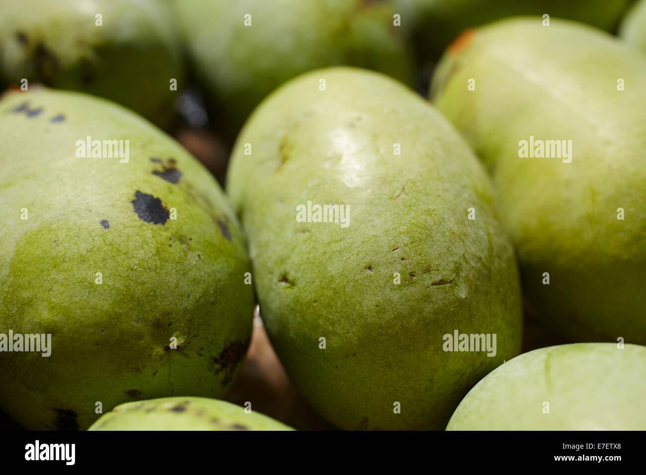 Ripe Paw Paw High Resolution Stock Photography and Images - Alamy