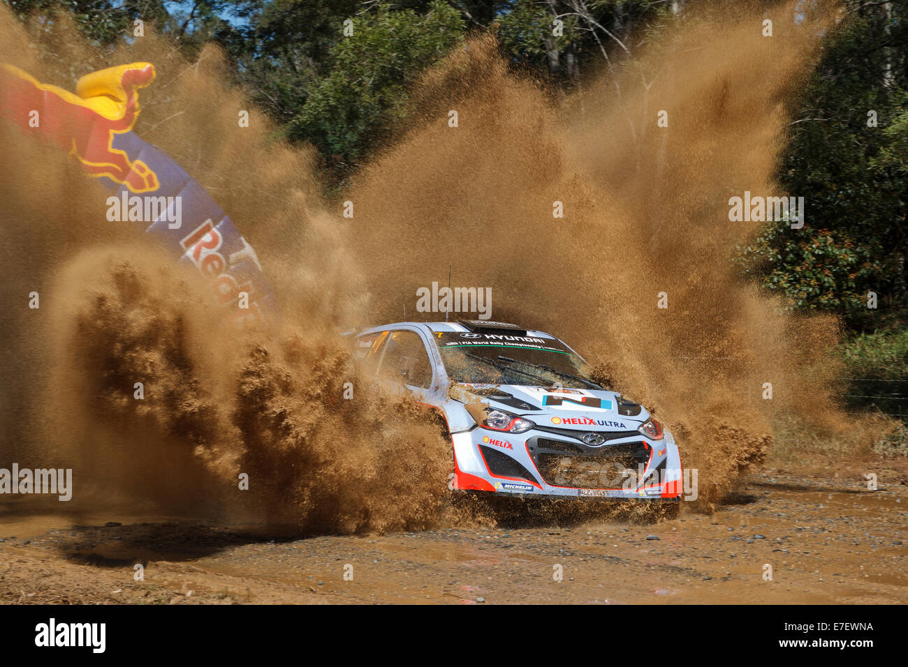 The Hyundai i20 piloted by Chris Atkinson passes through the Wedding ...