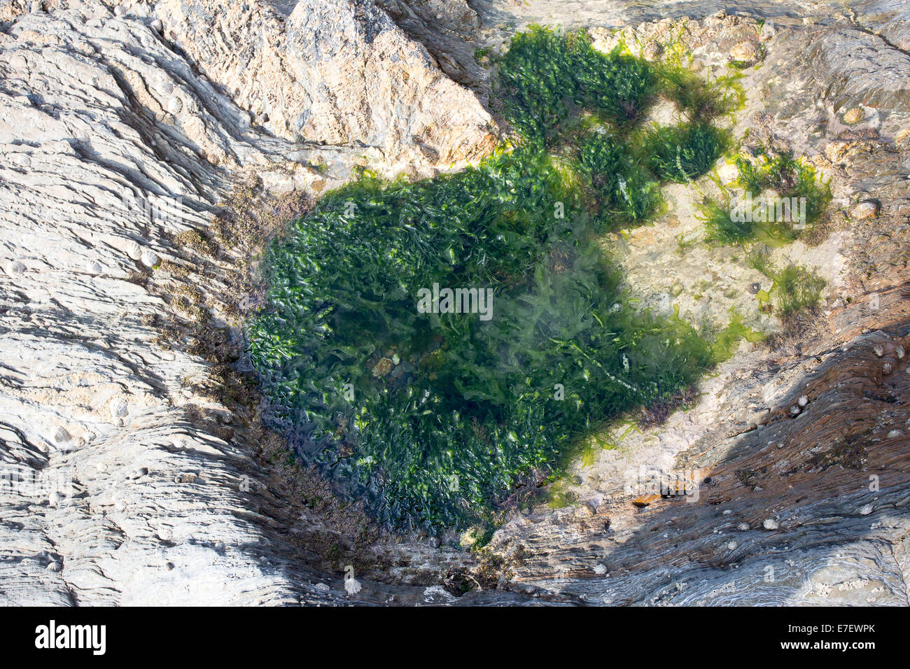 beach Hele Bay Ilfracombe North Devon Stock Photo - Alamy beach Hele Bay Ilfracombe North Devon Stock Photo - Alamy