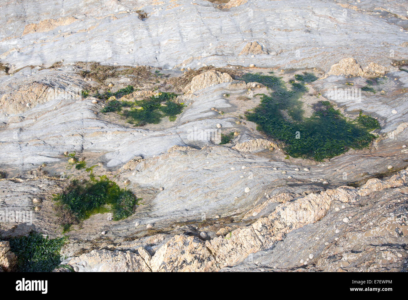 beach Hele Bay Ilfracombe North Devon Stock Photo - Alamy