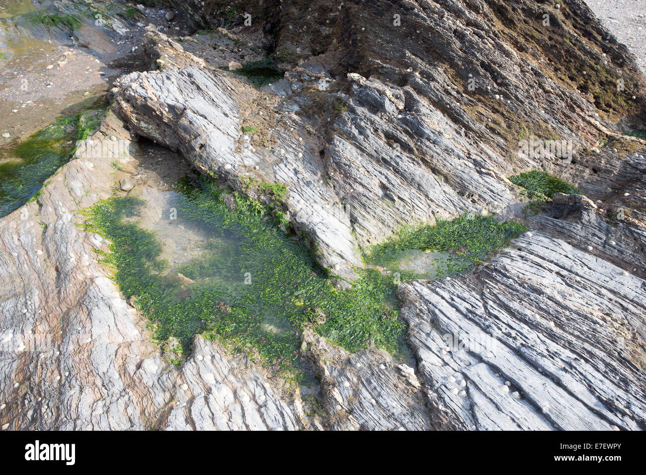 beach Hele Bay Ilfracombe North Devon Stock Photo - Alamy