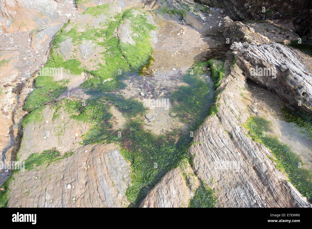 beach Hele Bay Ilfracombe North Devon Stock Photo - Alamy