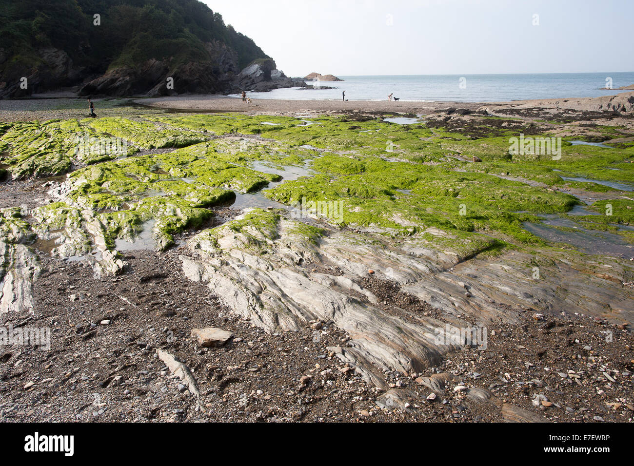 beach Hele Bay Ilfracombe North Devon Stock Photo - Alamy