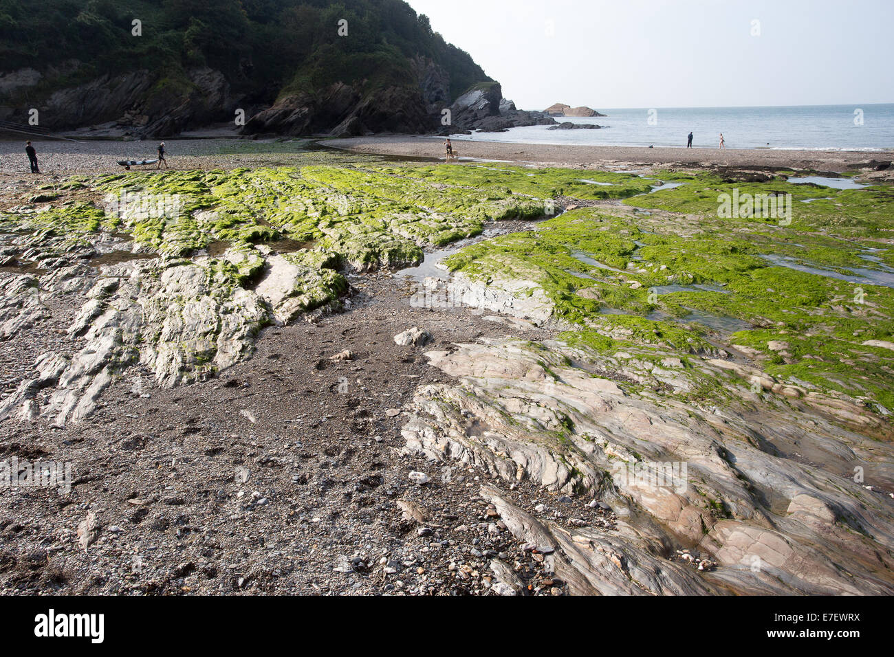 beach Hele Bay Ilfracombe North Devon Stock Photo - Alamy beach Hele Bay Ilfracombe North Devon Stock Photo - Alamy