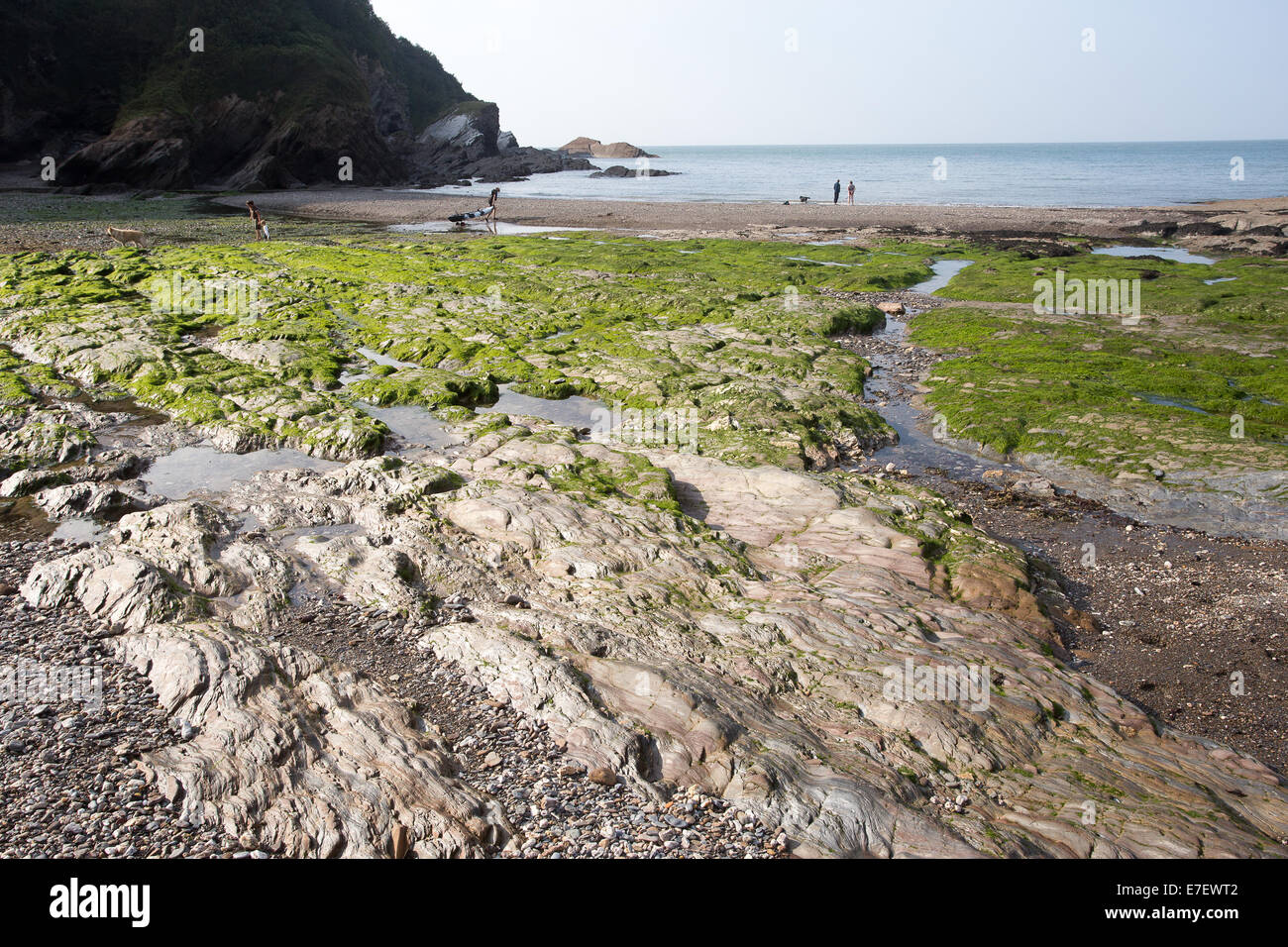 beach Hele Bay Ilfracombe North Devon Stock Photo - Alamy
