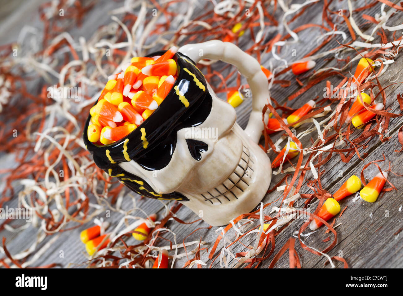 Closeup angled horizontal image of a scary black and white skeleton ...