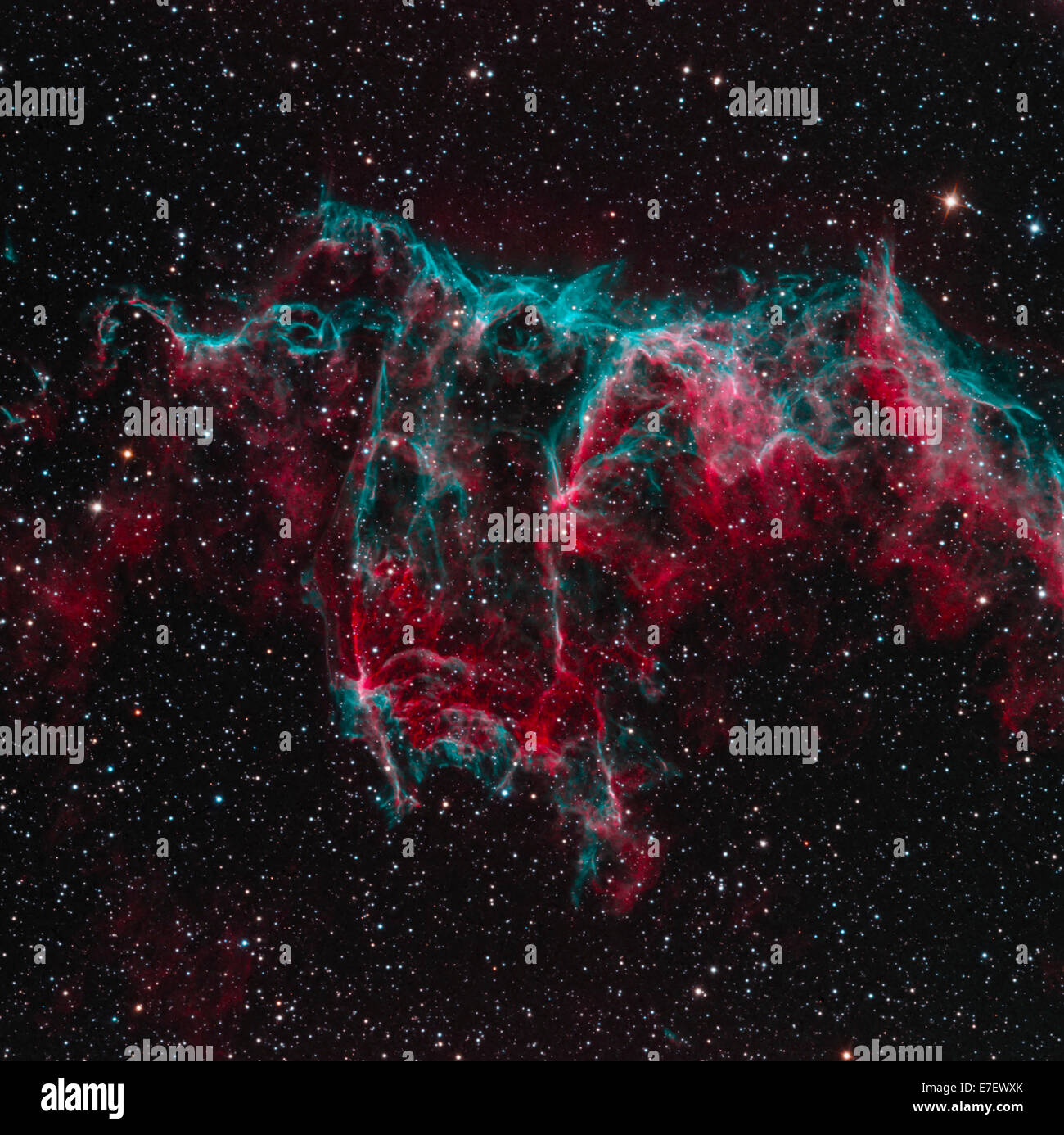 NGC 6995, the Bat Nebula, part of the Veil Nebula in Cygnus Stock Photo ...