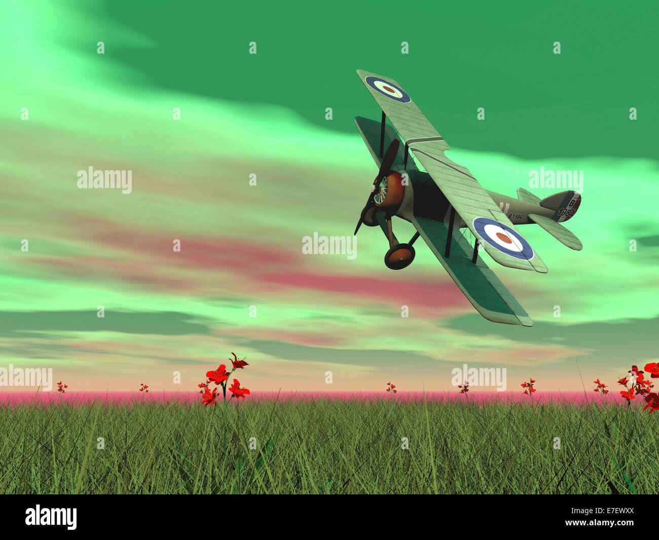 Vintage biplane flying above green grass with flowers by sunset Stock ...