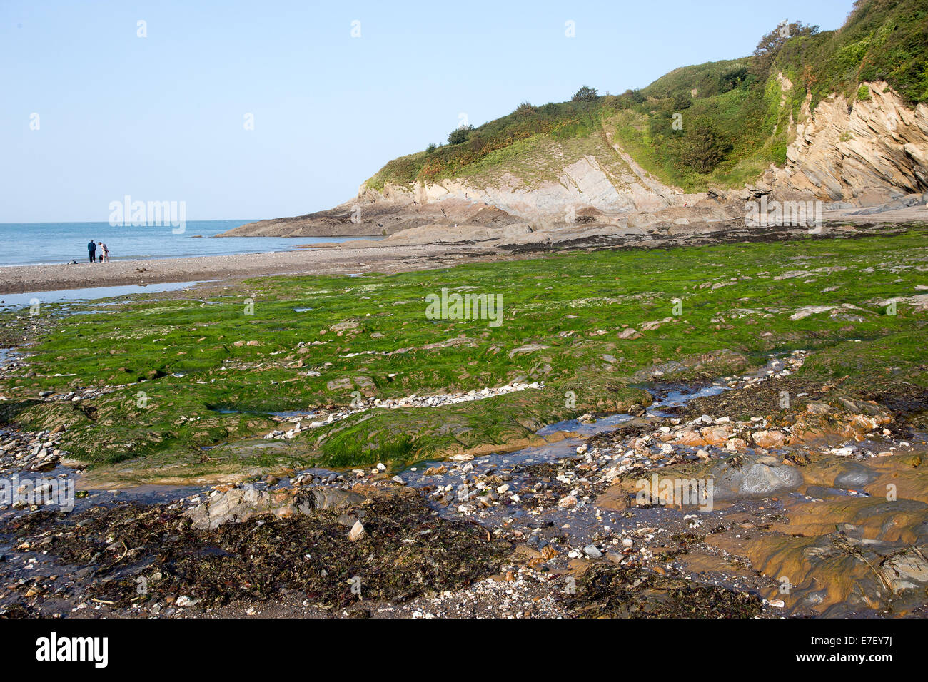 beach Hele Bay Ilfracombe North Devon Stock Photo - Alamy