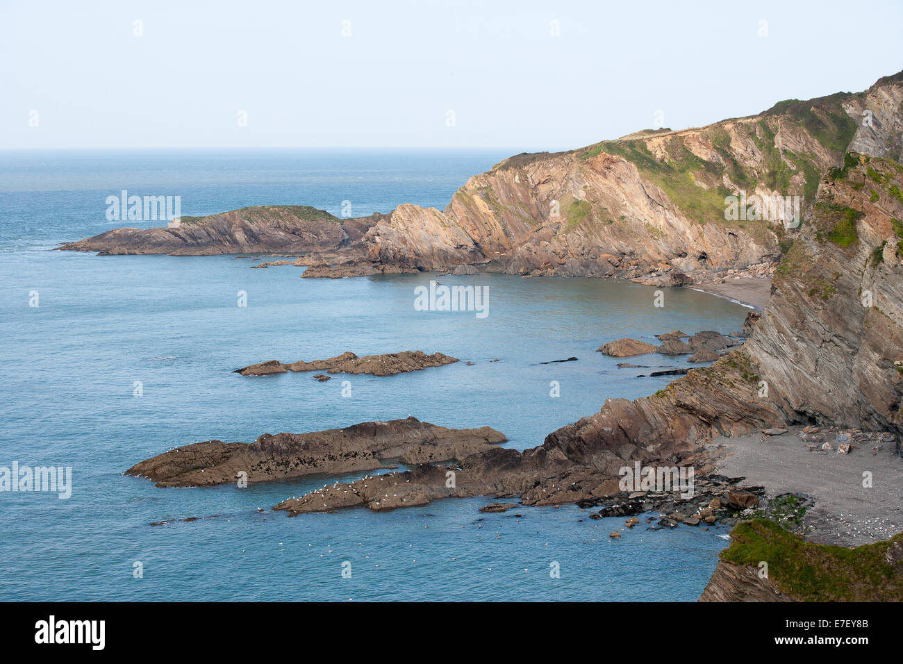 beach Hele Bay Ilfracombe North Devon Stock Photo - Alamy