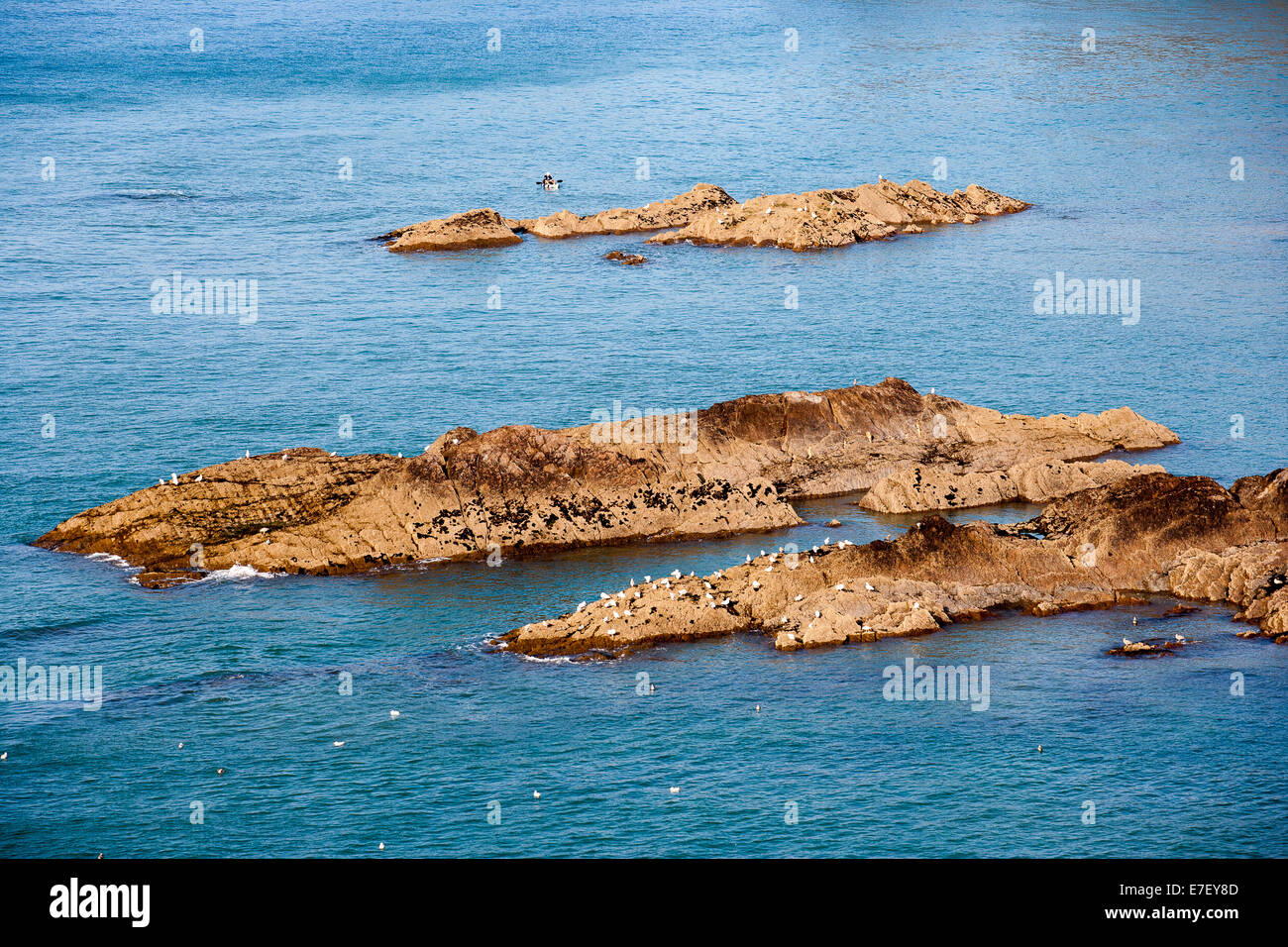 beach Hele Bay Ilfracombe North Devon Stock Photo - Alamy