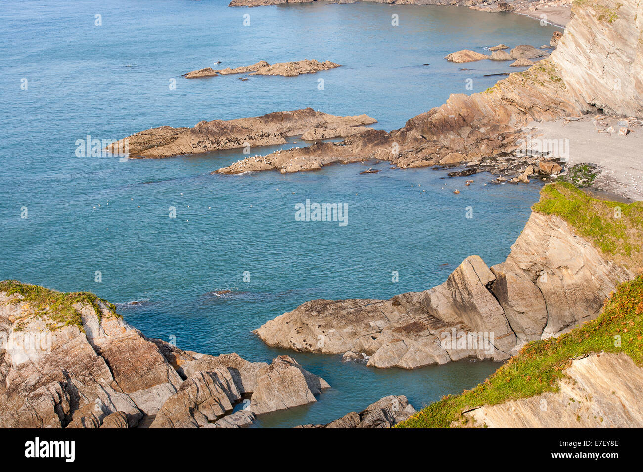 beach Hele Bay Ilfracombe North Devon Stock Photo - Alamy